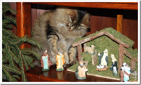 Жизнь французской домохозяйки: Crèche vivante